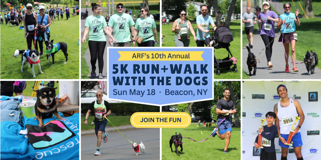 Animal Rescue Foundation – Beacon, NY